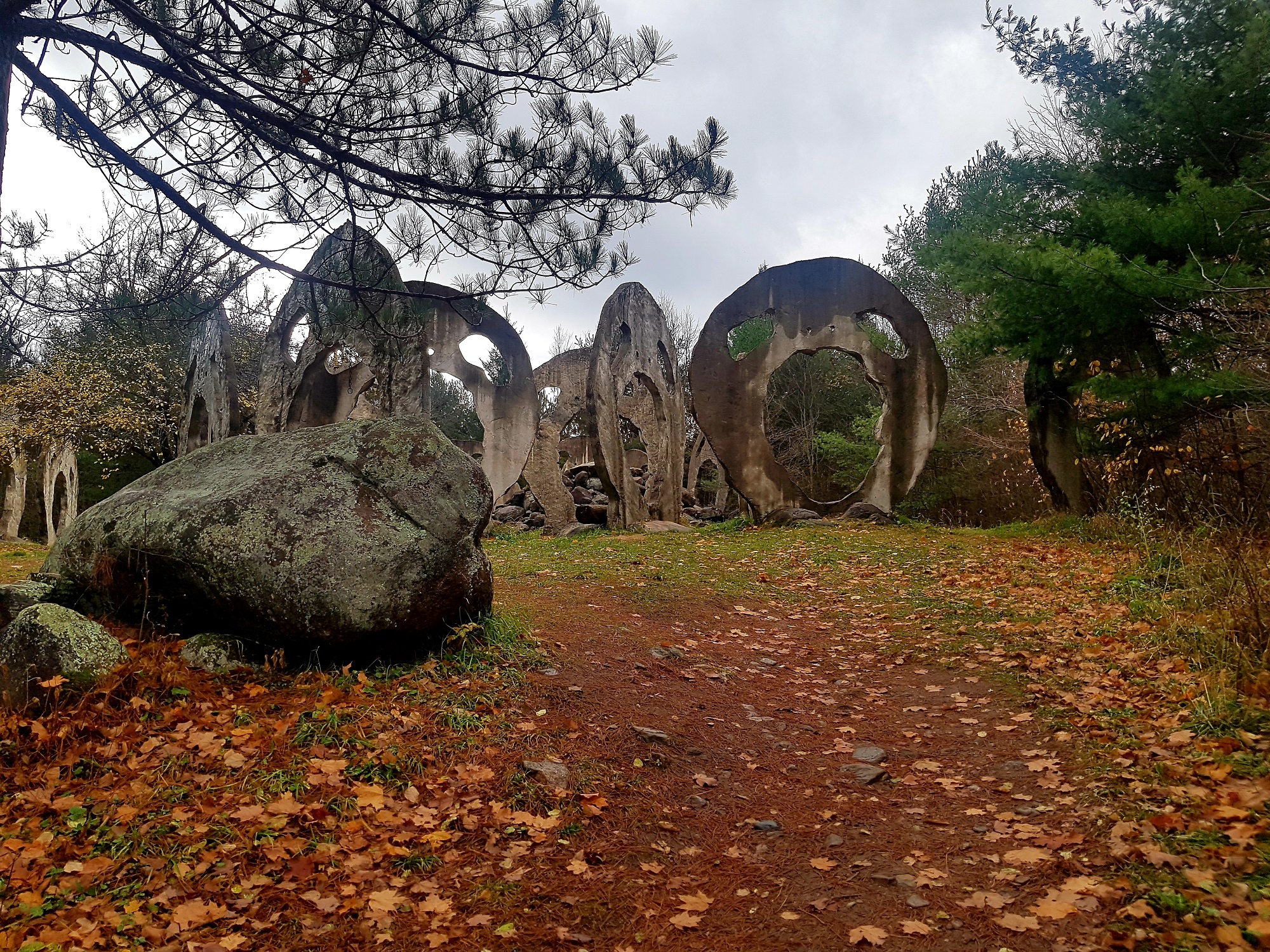 The Screaming Heads | This Bonnie Life